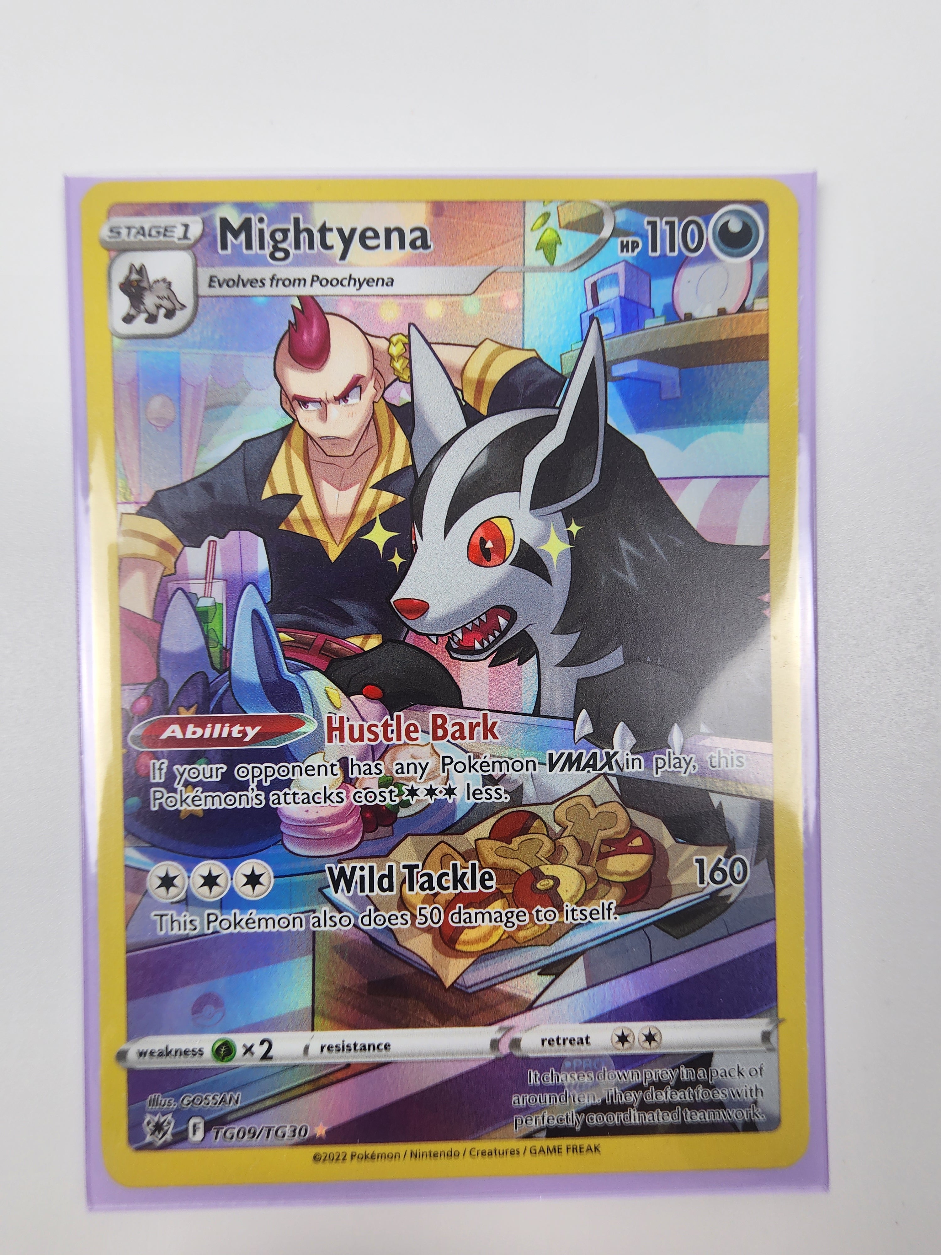 Mightyena - TG09/TG30 - Full Art - TG - Astral Radiance Pokemon Card
